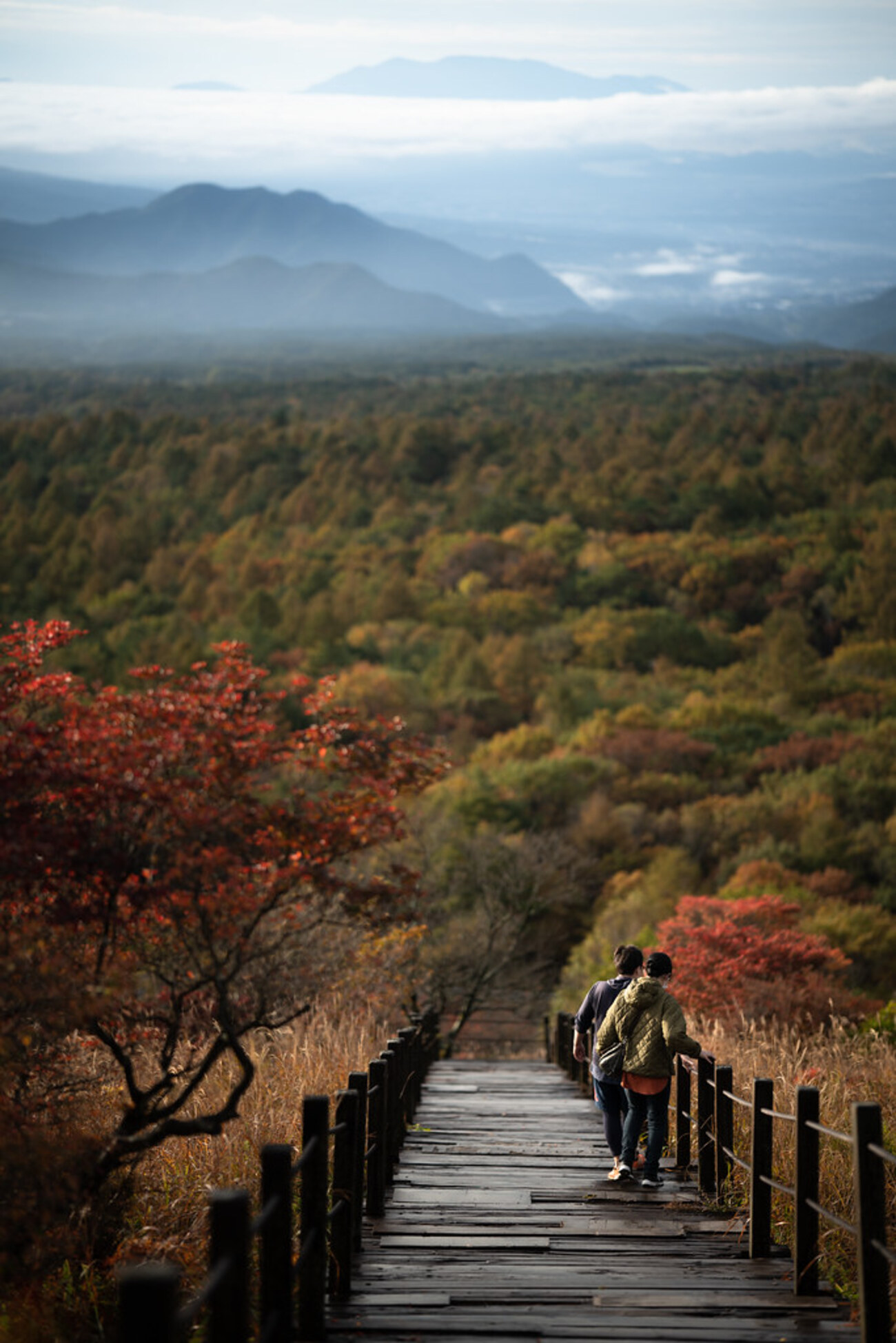 Nature snap #58 - An Ordinary Moment