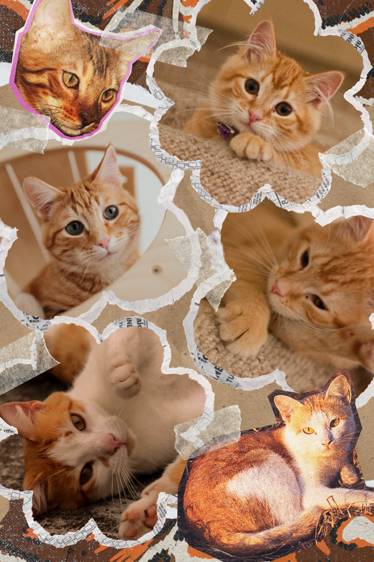 2025年12月販売の備忘録📝 29日目☆ - ハイブリッドポイ活で、めざせ月収100万円！