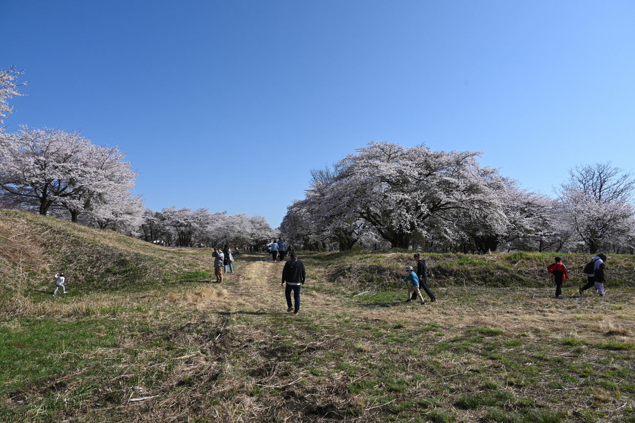 相馬原駐屯地創設66周年記念行事 - Great Spangled Weblog