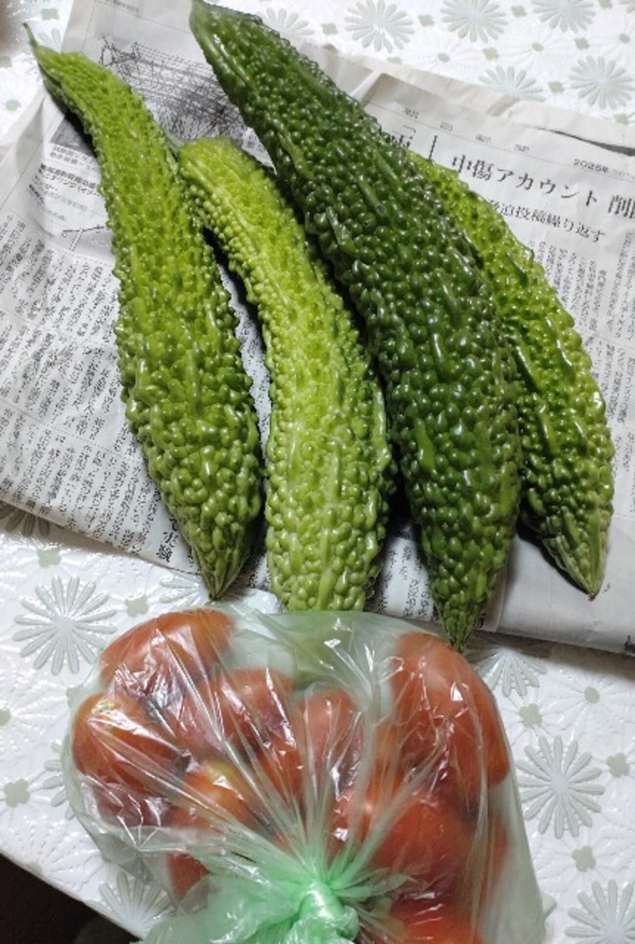 ゴーヤいただいて、包んであった新聞に見入って - 放假 - fanjia