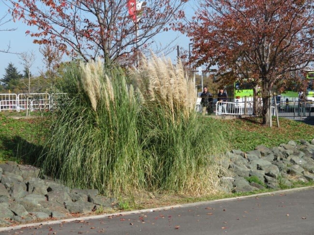 アタランタ対ミラン前半 - Kobby loves 埼玉＆レッズ