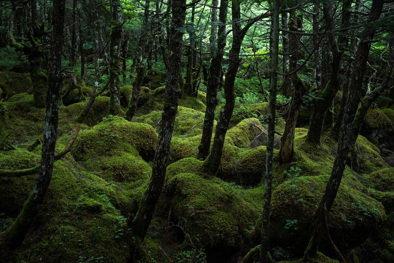 Nature snap #29 - An Ordinary Moment