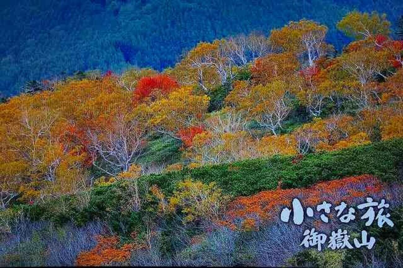 NHK小さな旅「こころ静かに歩む～御嶽山～」 - hiroの花便り part2
