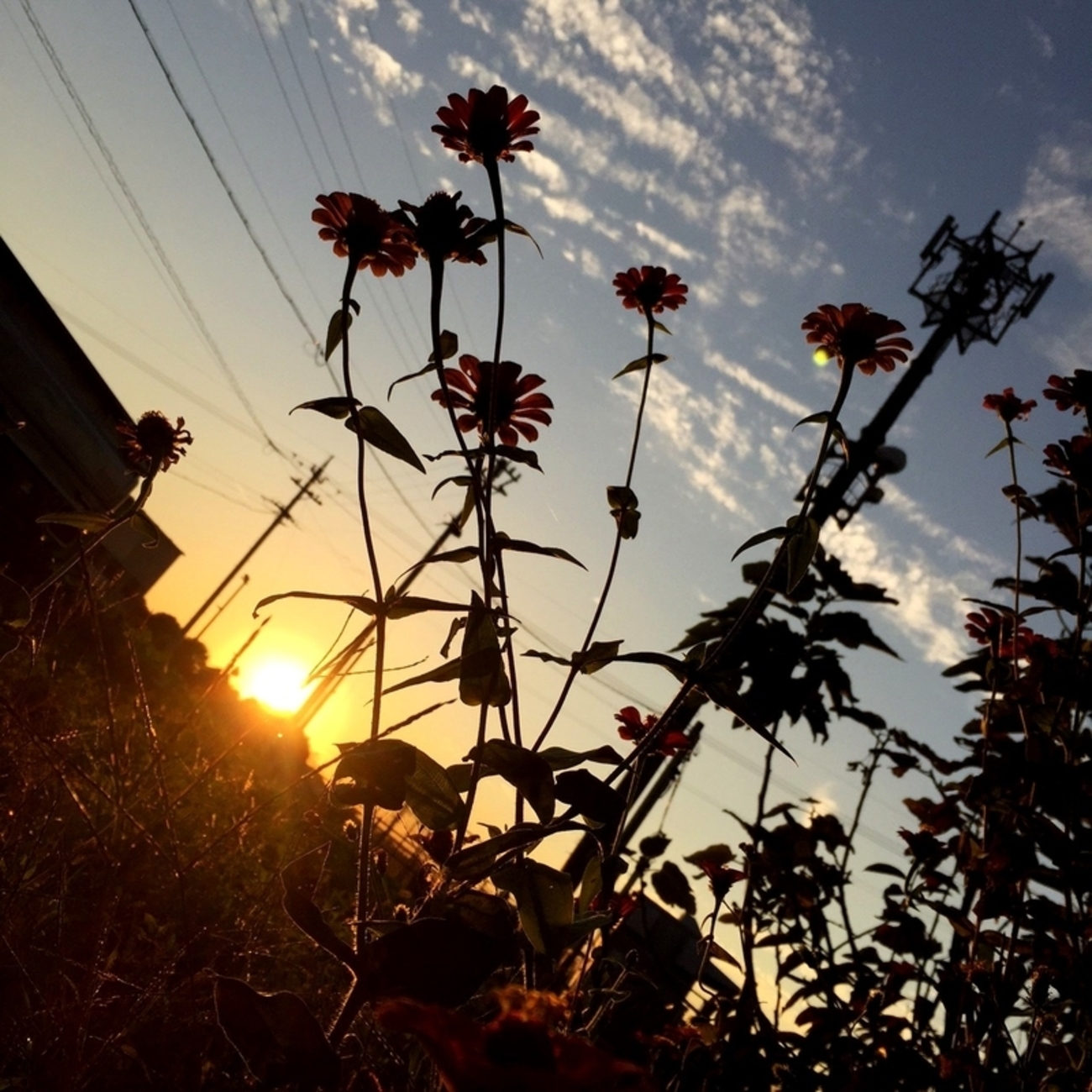 只今準備中 - 花屋ふた葉 hanaya-futaba’s blog