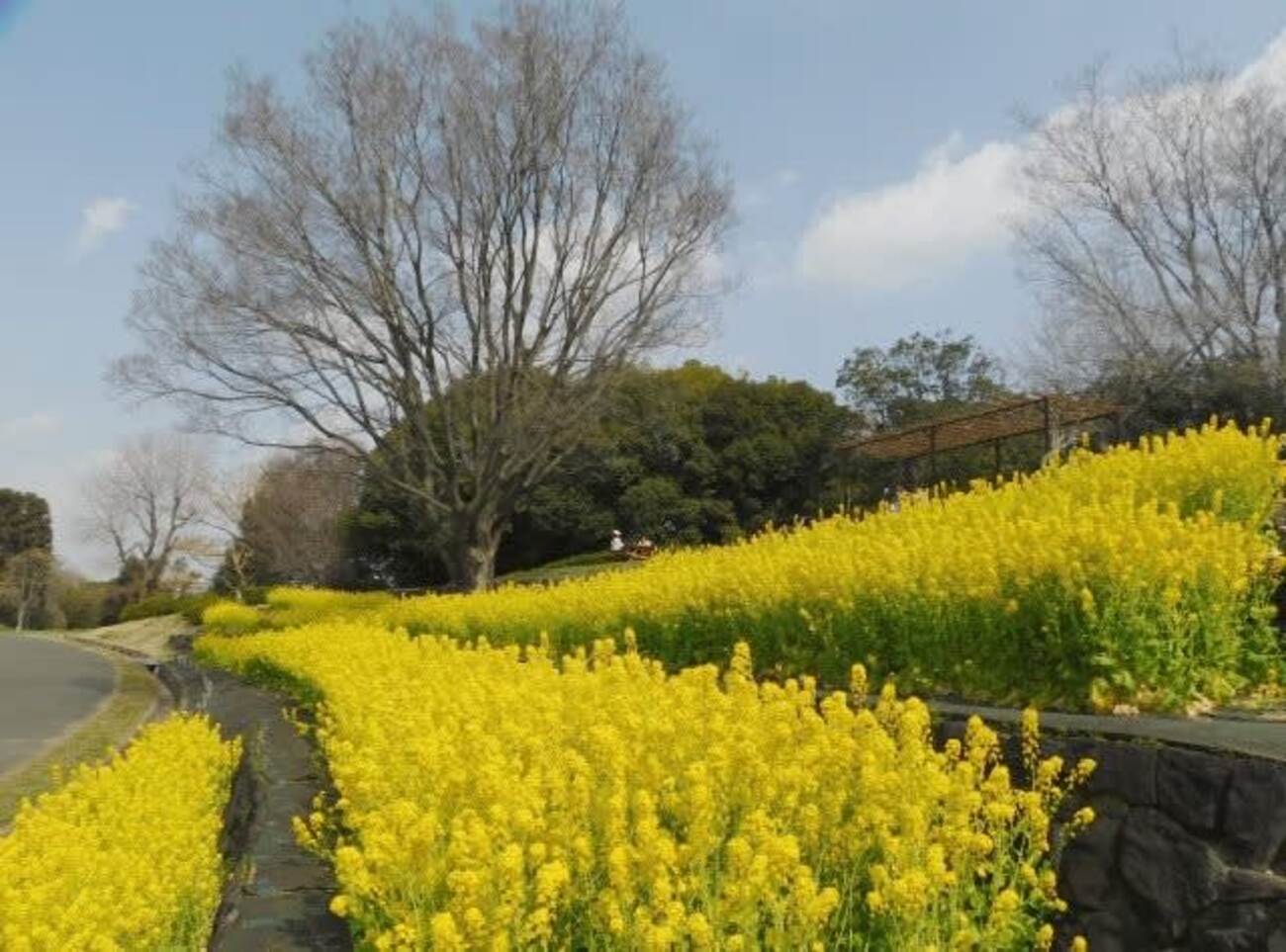 反社の人も医者には逆らわない、しかし私は？ - oichan-2’s blog