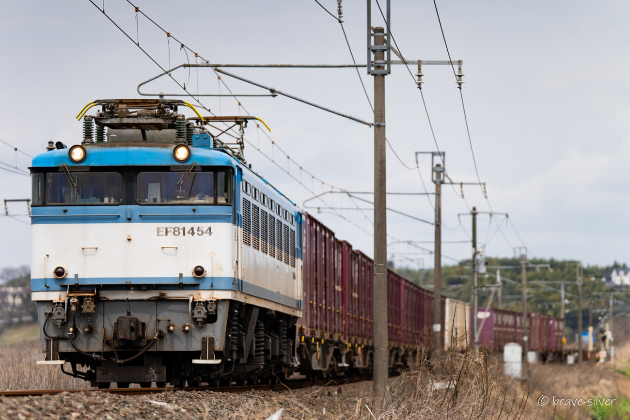 2025/03/12 1063レ EF81 454号機 - 潔く銀の鉄道写真館