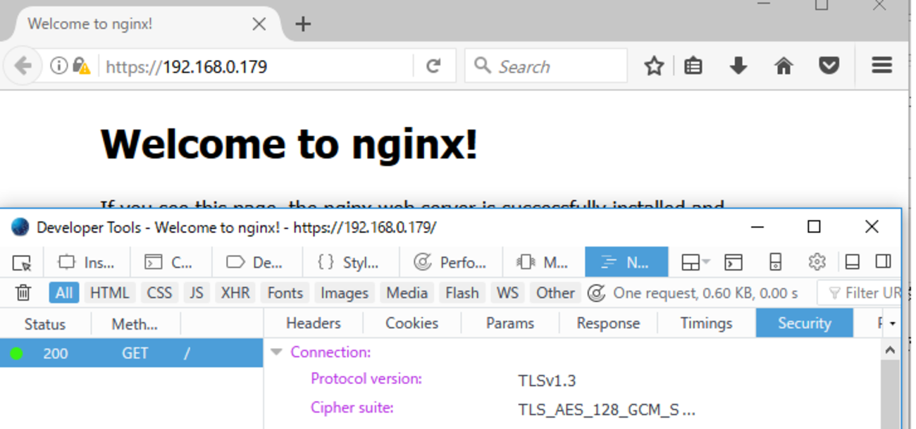 NginxでTLS1.3 動いた(OpenSSL) - ASnoKaze blog
