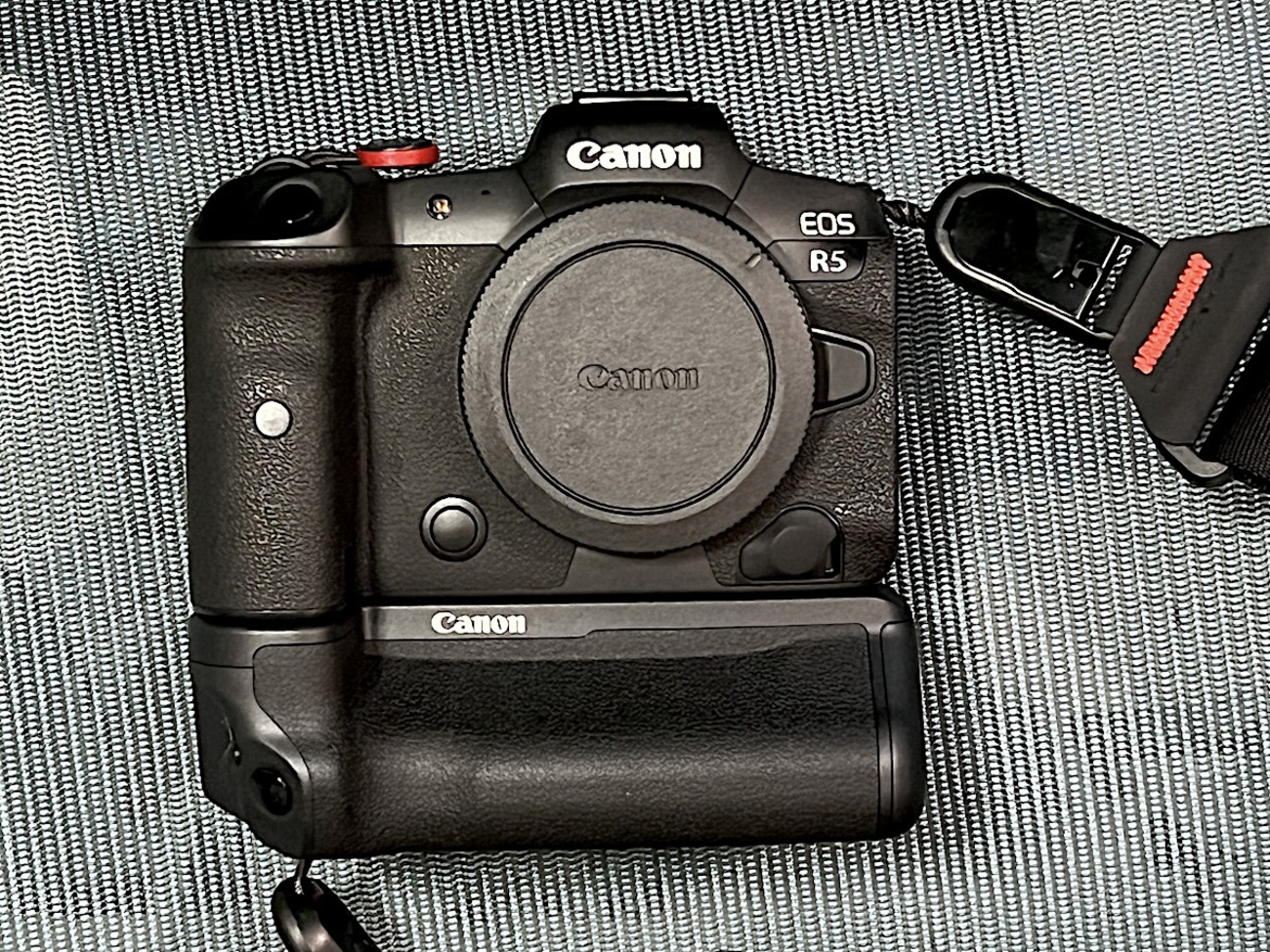 Canon「EOS R5」のアップデートで、「4億画素」生成の「IBIS HIGH Resolution」機能を追加？ - カスタム ...