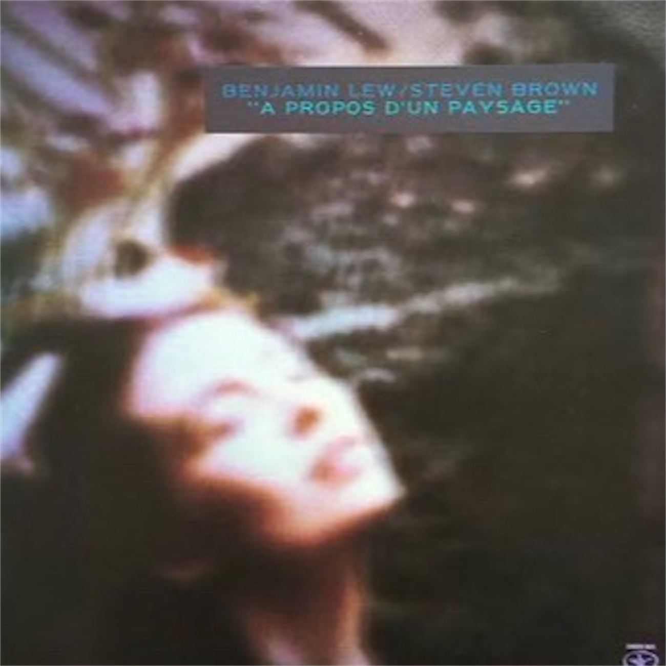 Benjamin Lew, Steven Brown - A Propos D'Un Paysage - きっかけの音楽たち