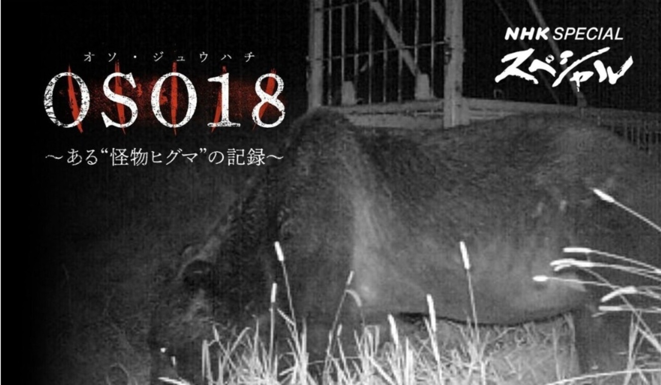 oso18 きっと 痛風 - mocamboの日記