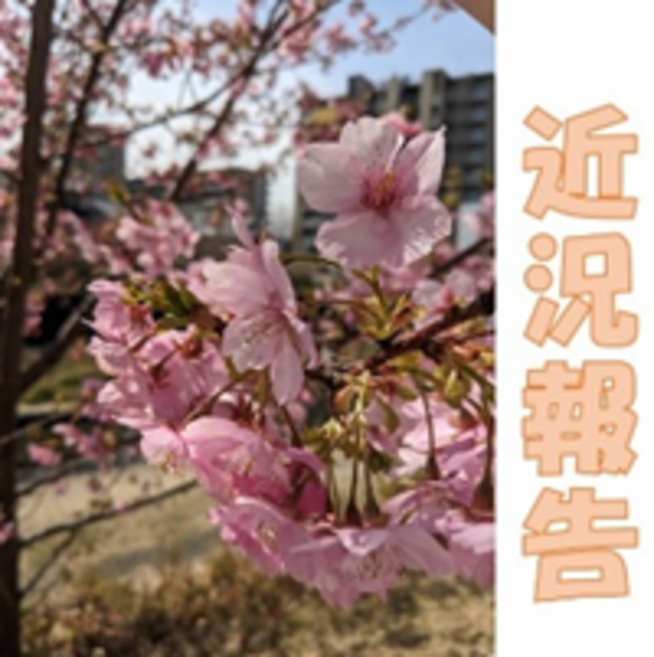 近況報告 2025/3/1(土)～3/15(土) （3/4造影CT検査結果は、少し気がかりな内容） - 10歳のマリアのブログ