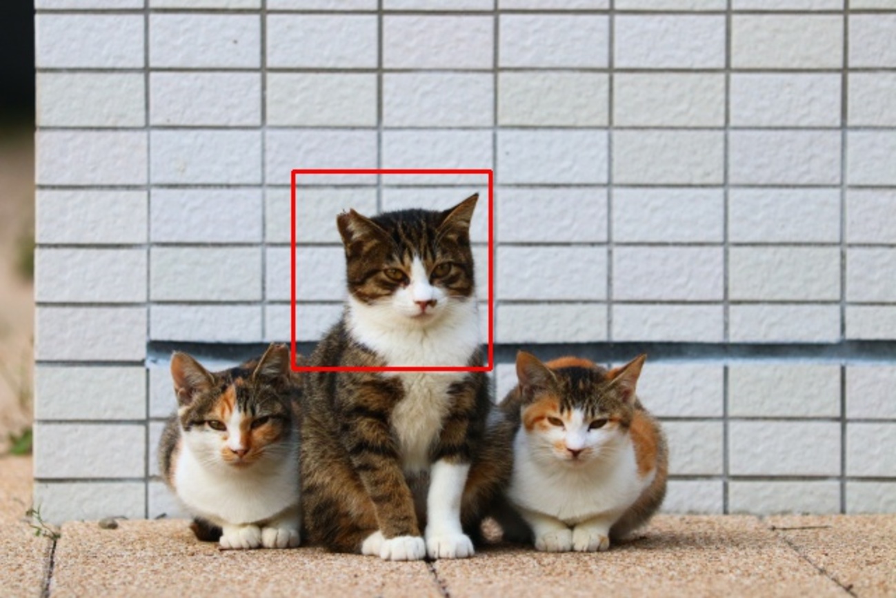 OpenCVを使って物体認識その5、pythonスクリプトで物体認識 - mecobalamin’s diary