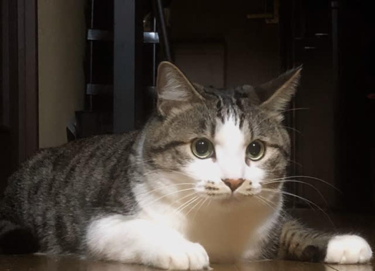 5252日。 - 雑空・Ⅱ