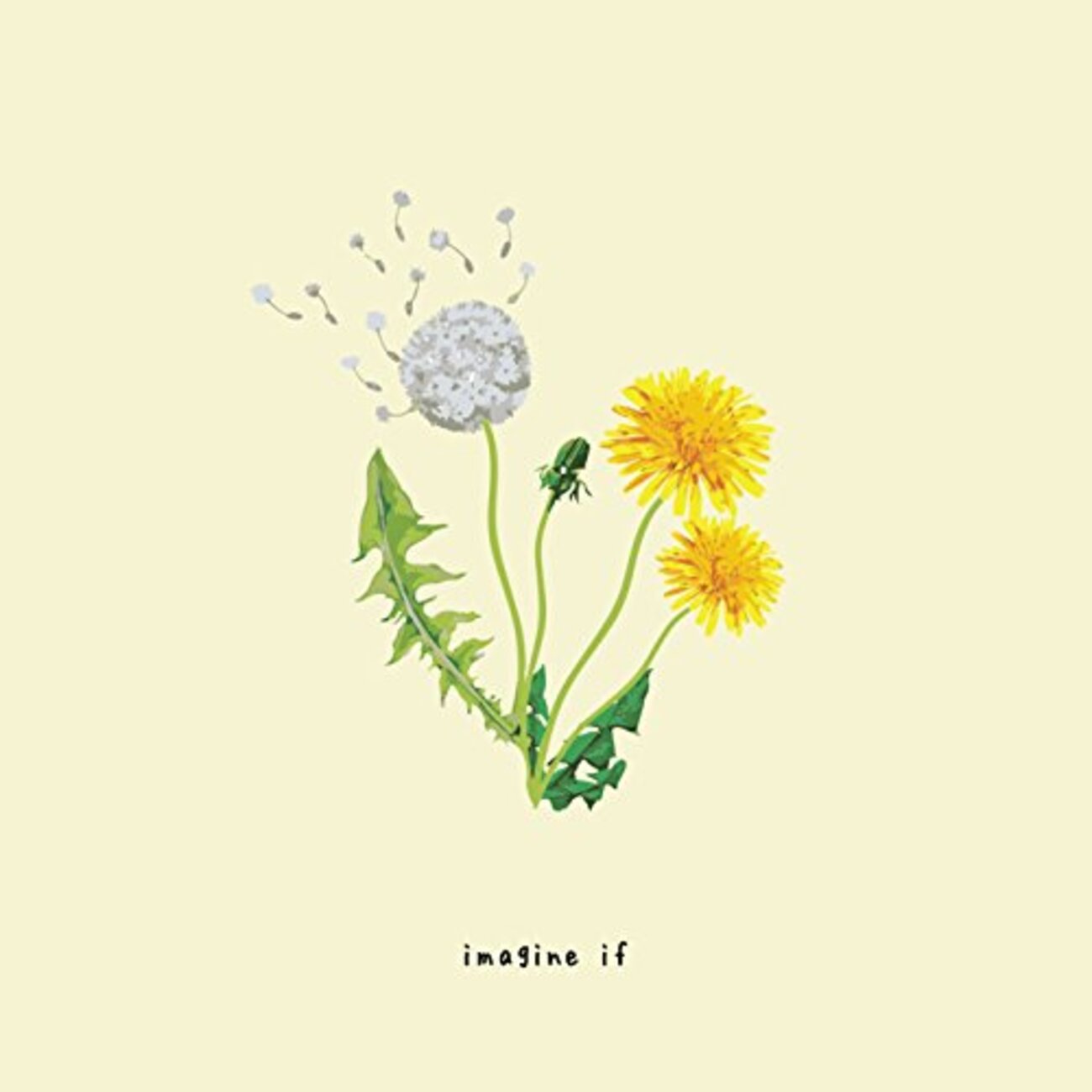 【全歌詞和訳】gnash-imagine if【洋楽2018年】 - 洋楽和訳/曲紹介ブログ