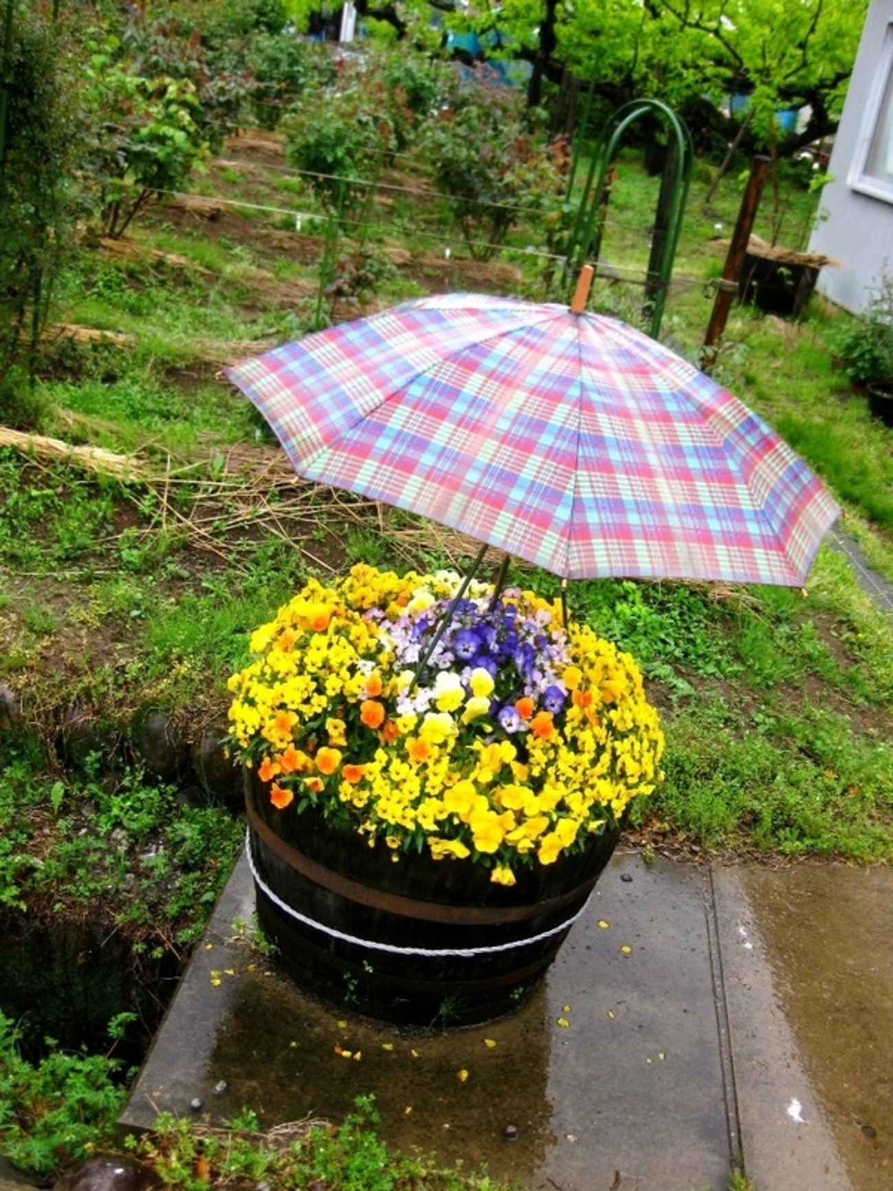 ありがとう - 花屋ふた葉 hanaya-futaba’s blog