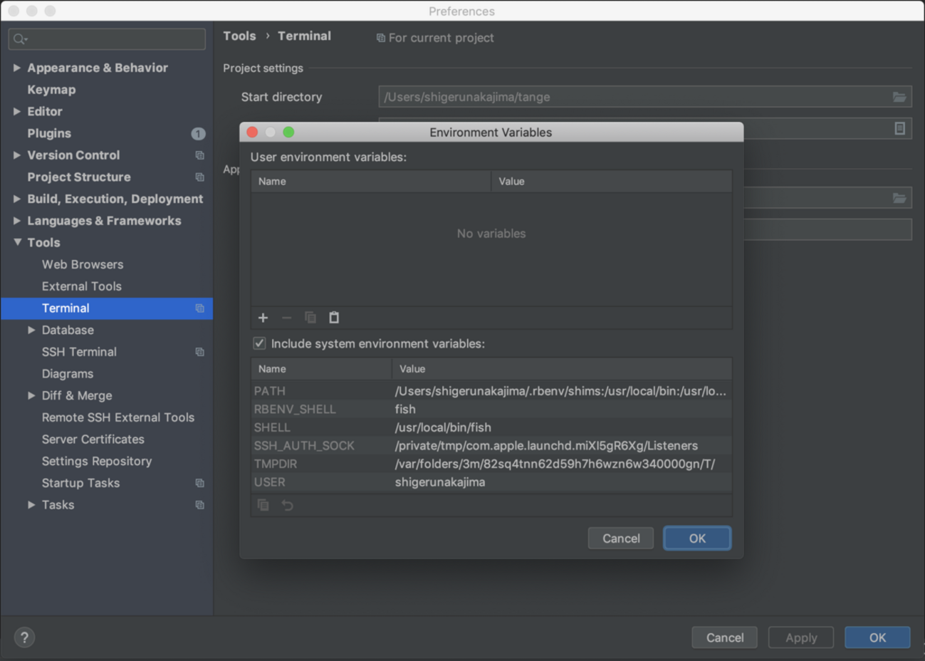 RubyMineのターミナルが壊れた話 - @ledsun blog