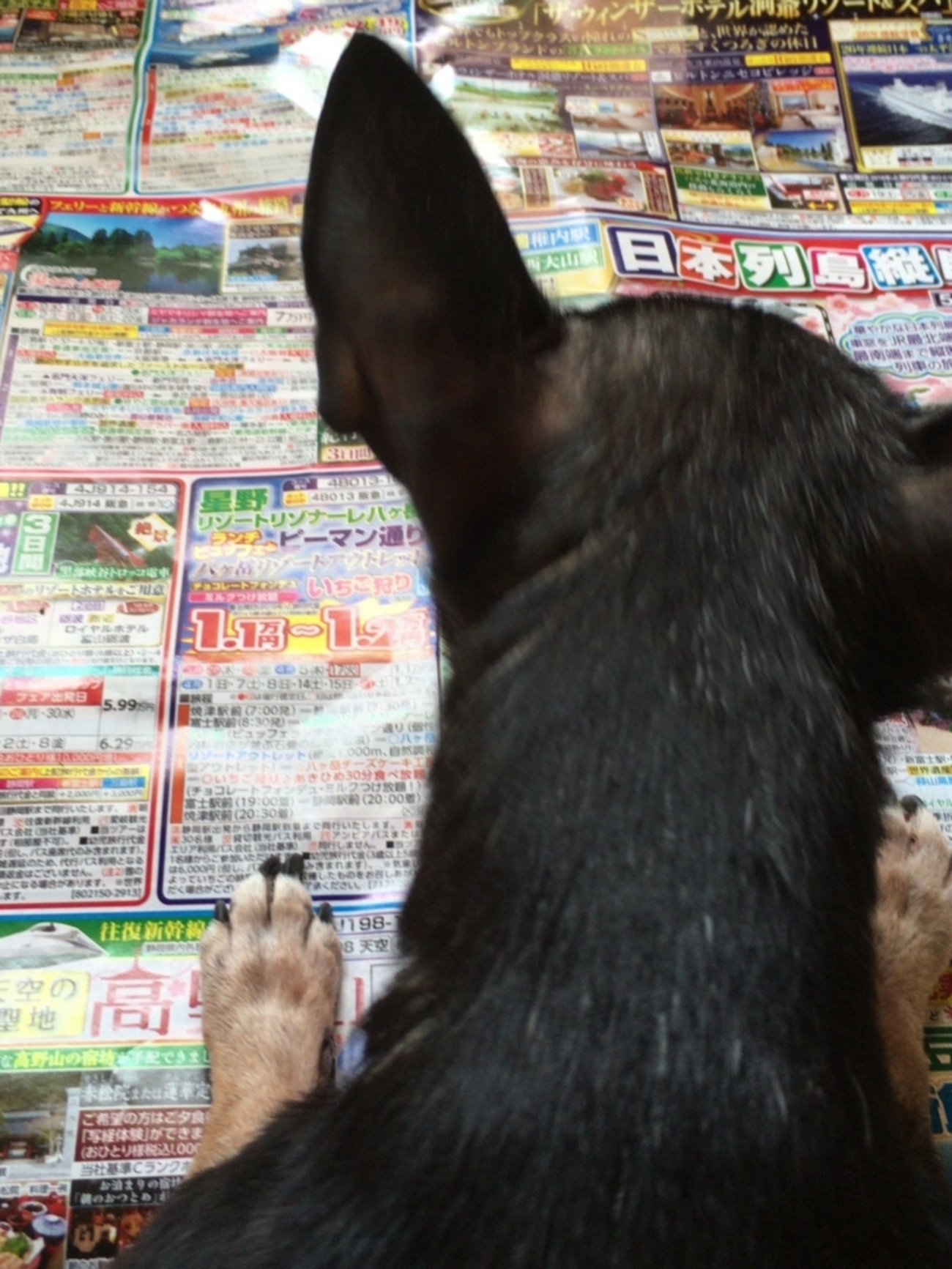 No.294 計画 - R-no-R