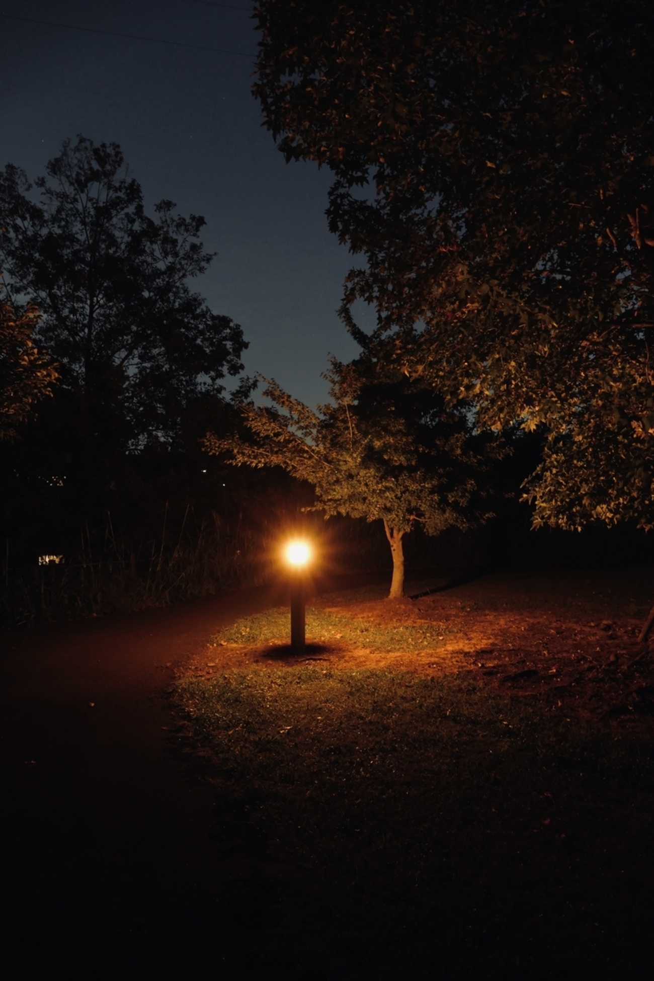 lone lights 27 - SagamiToshio’s blog