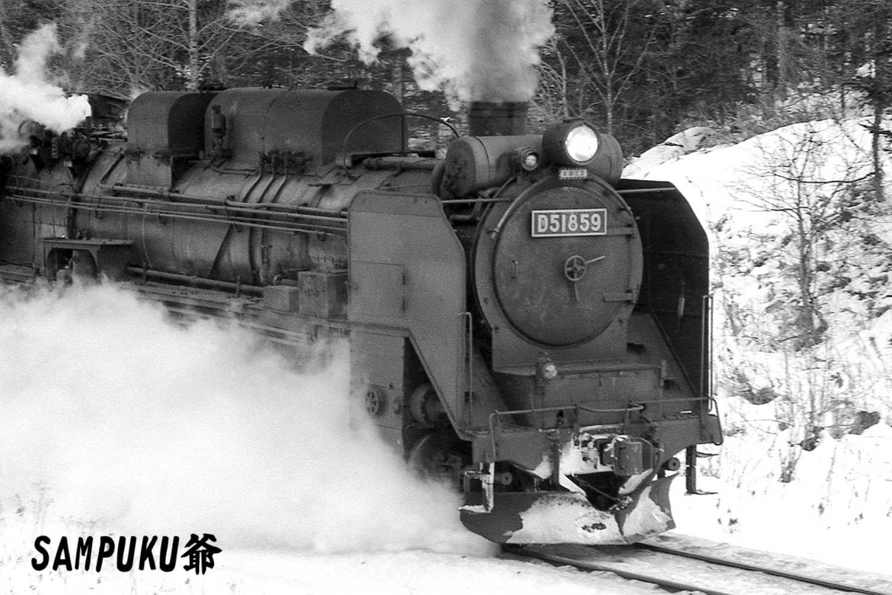D51 859 - ただいま鉄道写真スキャン中