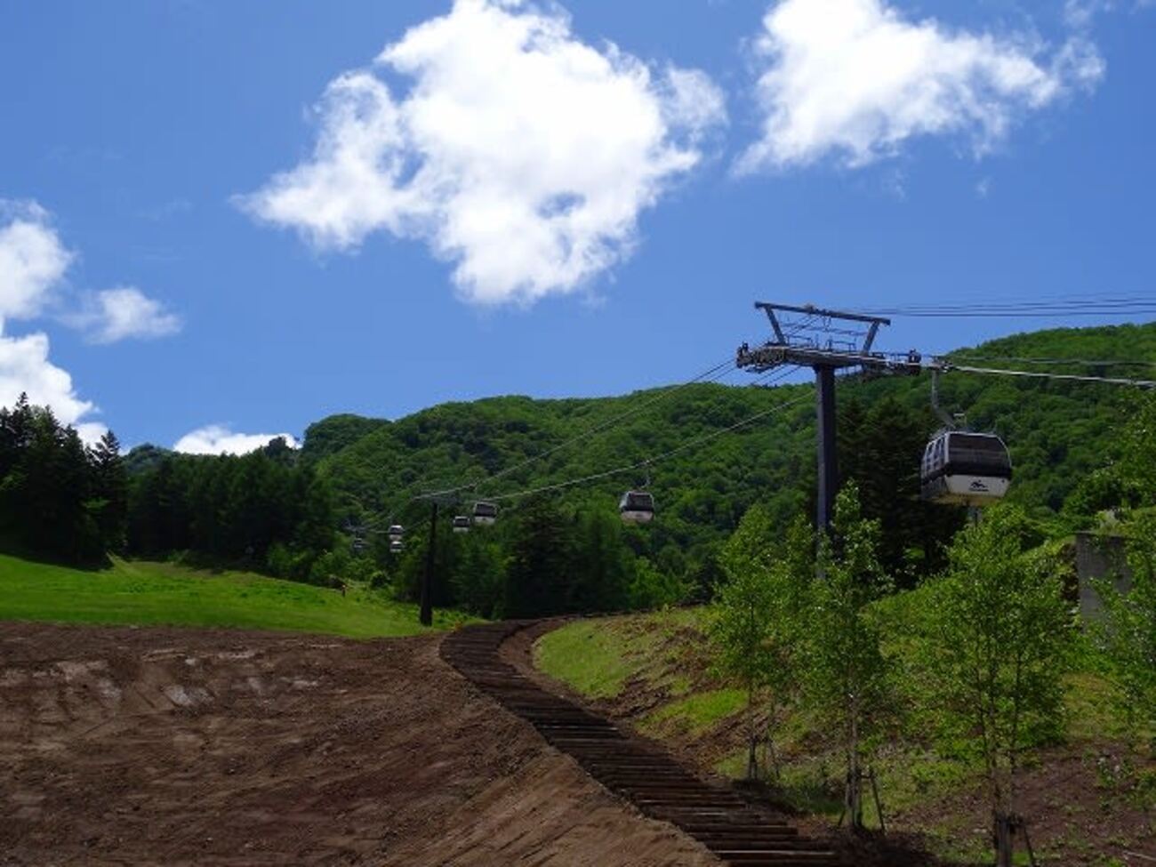 日光白根山シラネアオイウォーク - hiroの花便り part2