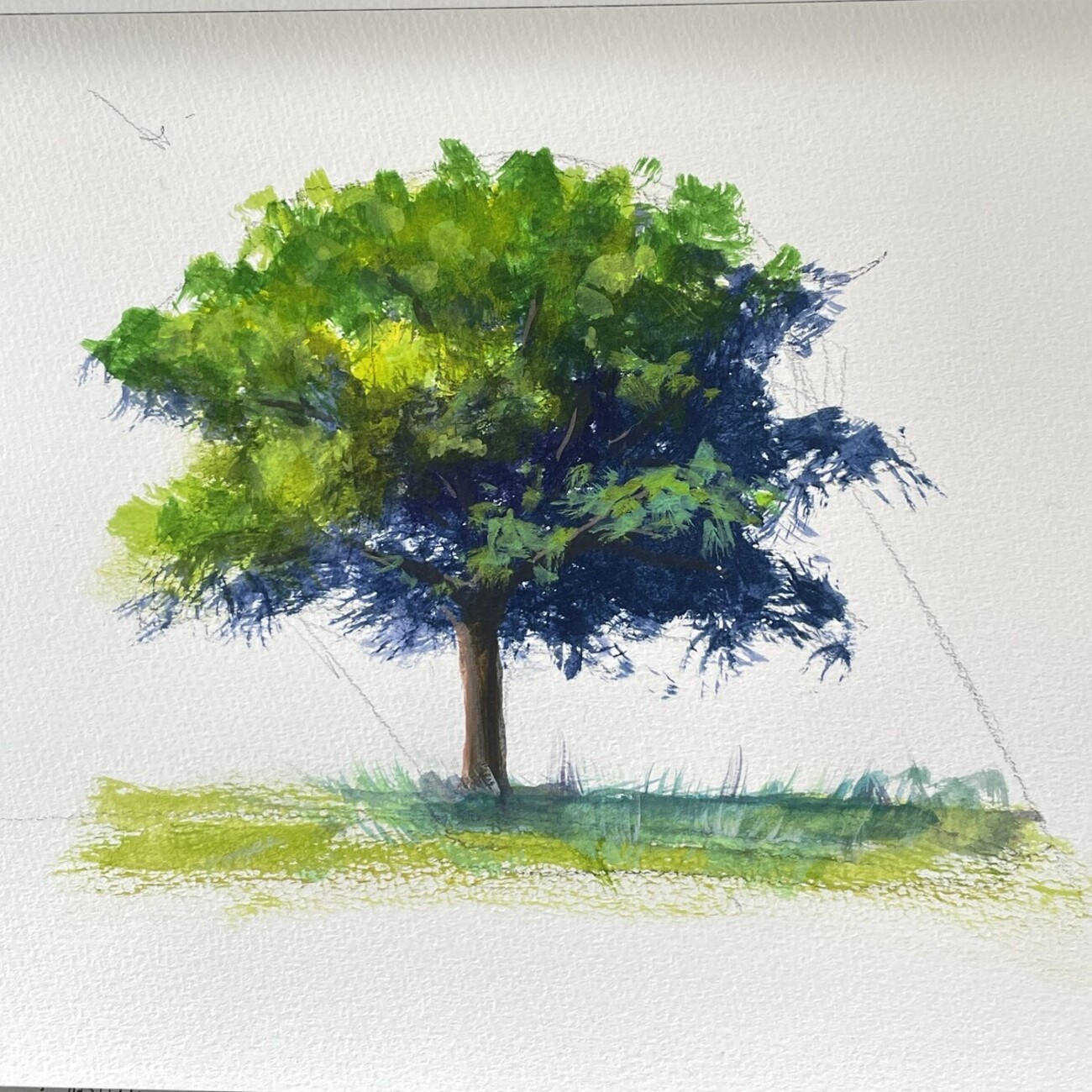 NHK 柴崎先生『3か月でマスターする絵を描く』木を描いてみようね - 桃蝶画房