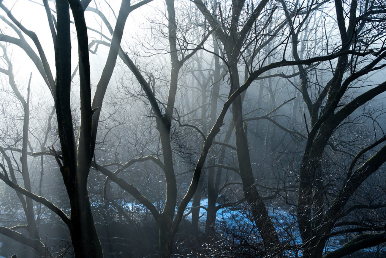 Nature snap #58 - An Ordinary Moment