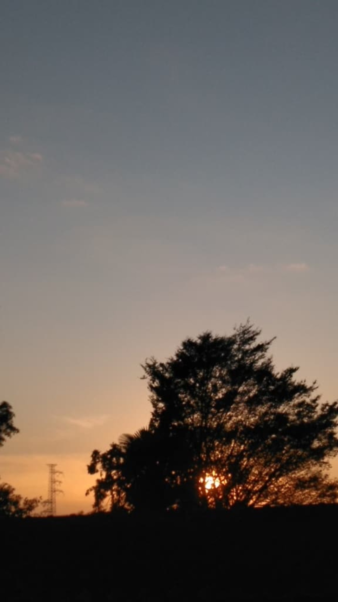 雲ひとつない綺麗な夕焼け - kyoko-ky211のブログ