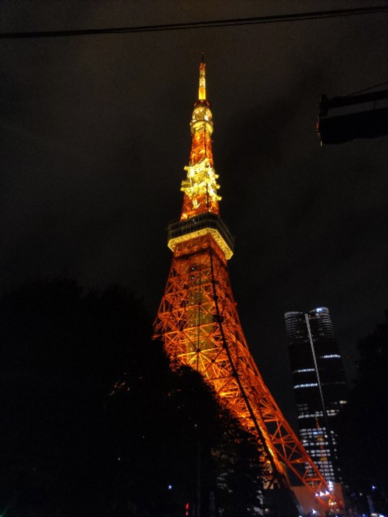 TOKYO① - トネリコの憂鬱
