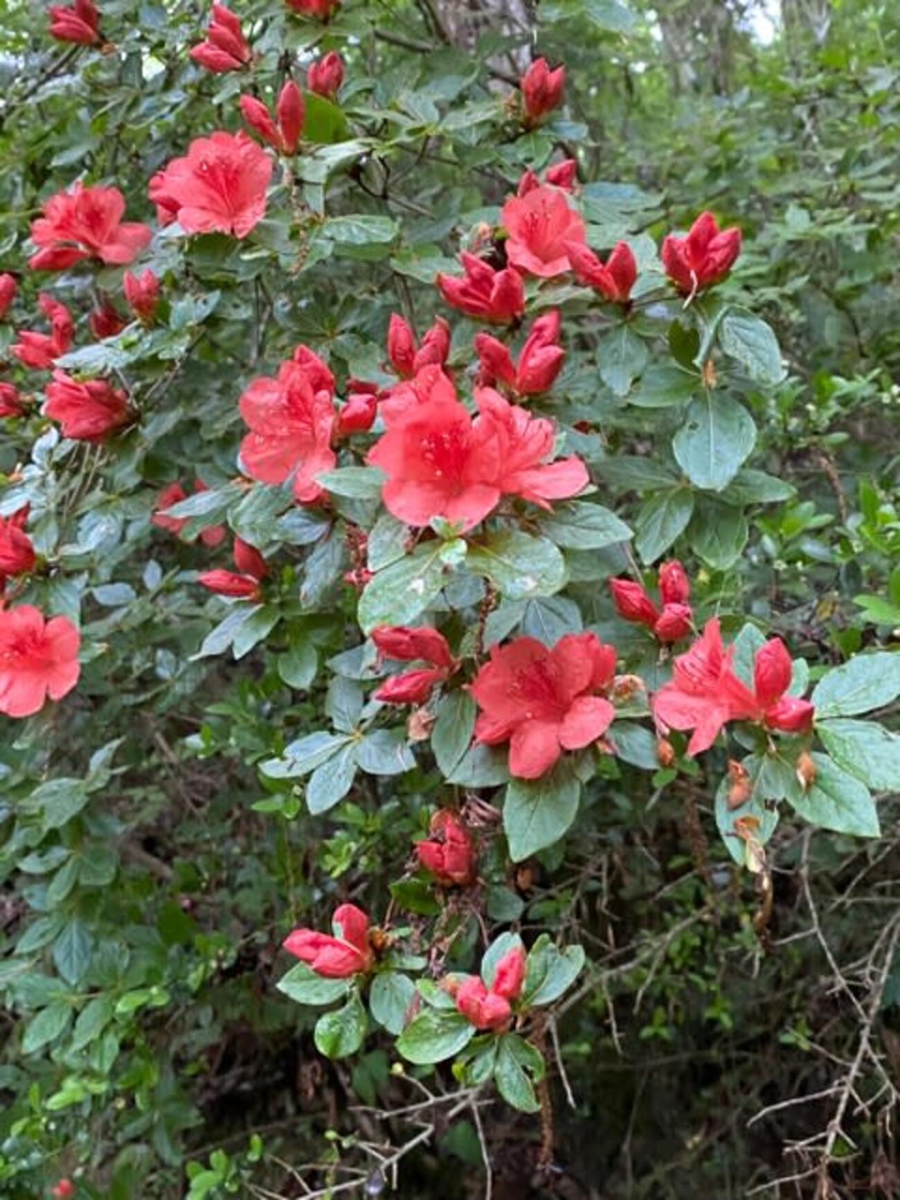 奪うのでなく与える愛の大切さ。 - 体と心の調和