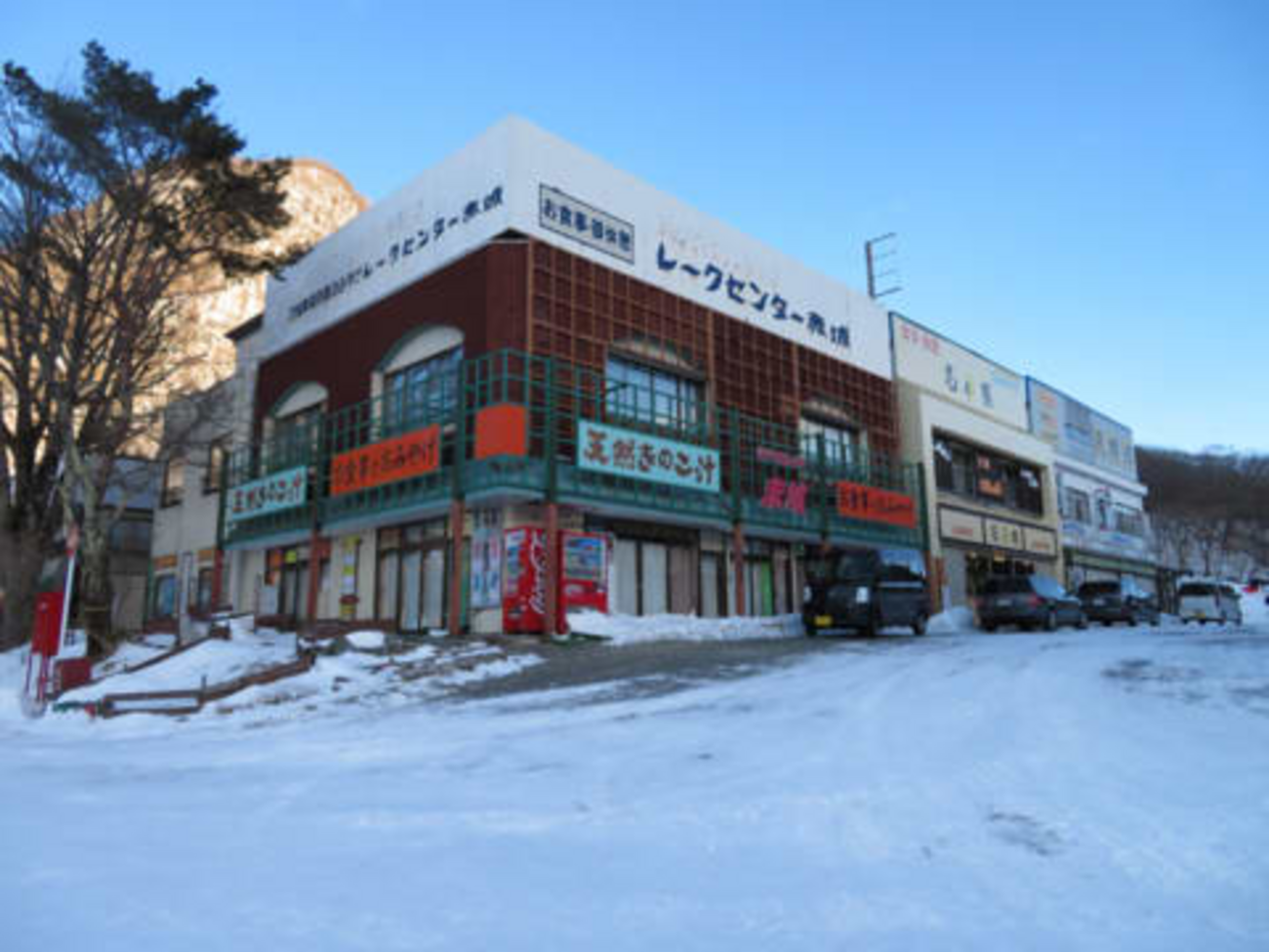 ネコ - 上総の写真