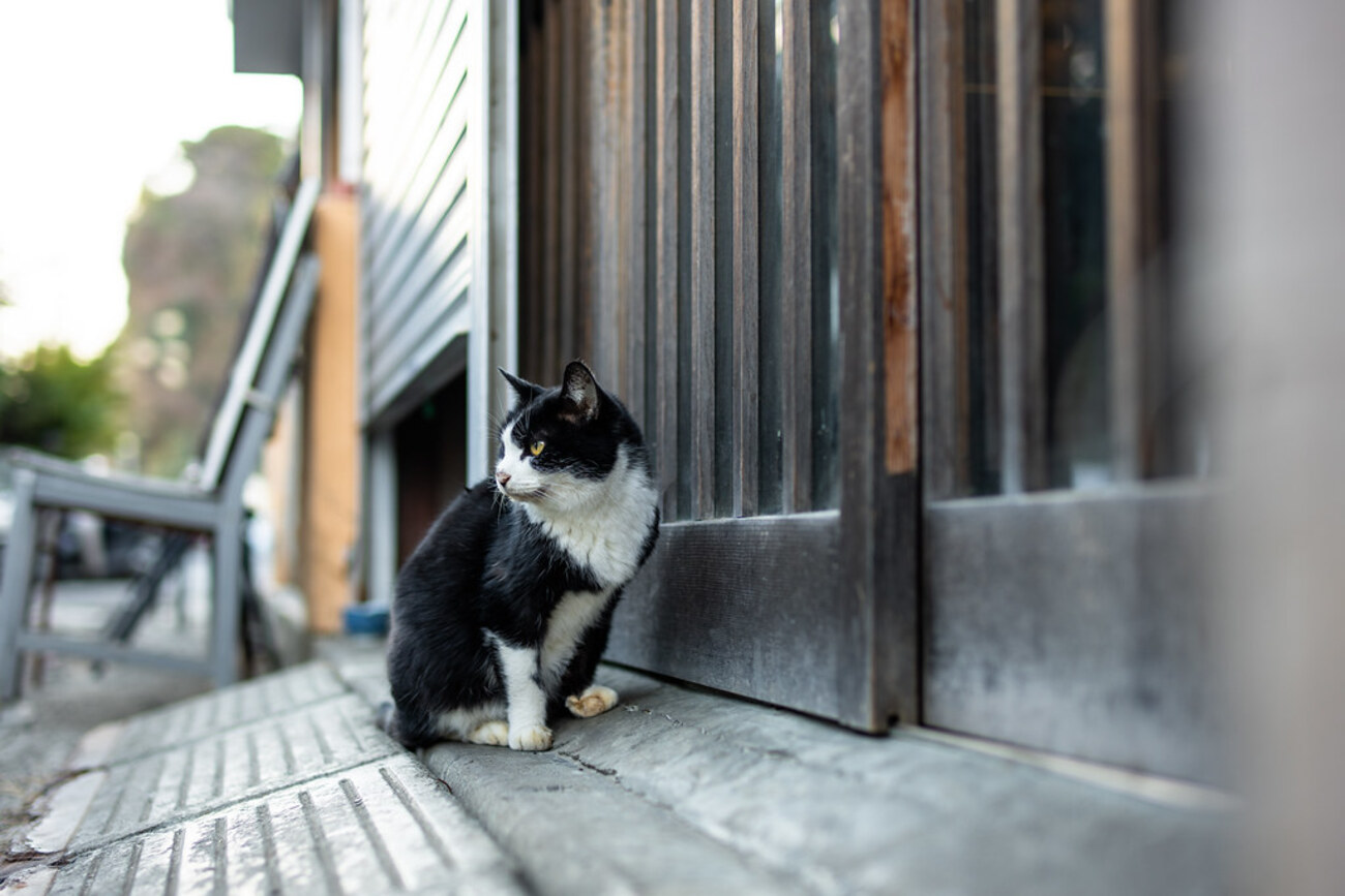 Weekend Snaps 2026 #01 - An Ordinary Life