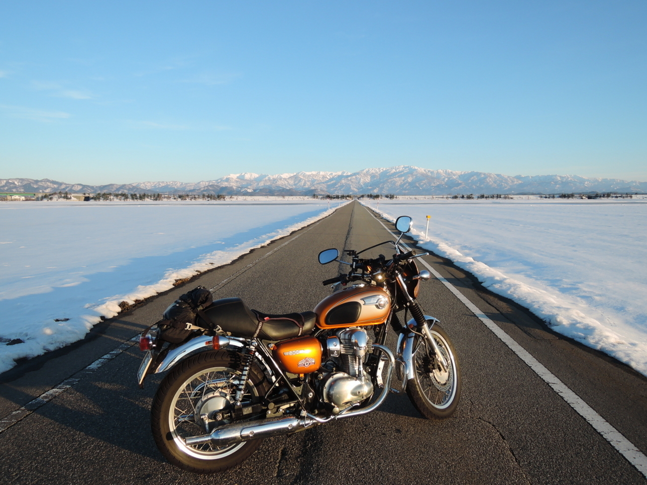 バイクさん・・・恩返し？？？🏍 - Bikers Hi