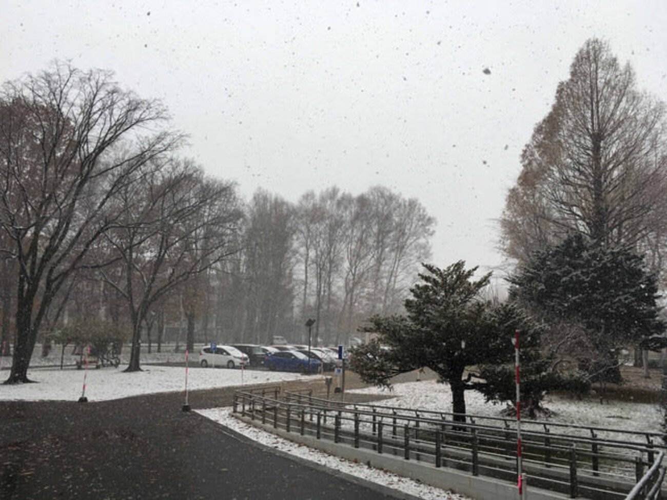 78年目 - Desulfonema’s blog