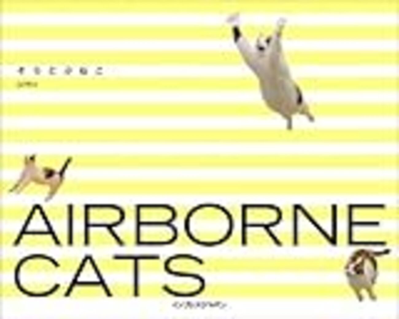 BOOK〜癒される写真集！…『AIRBORNE CATS そらとぶねこ』 - 「てるてるソング」 小野塚テルの一日一冊一感動『感動の仕入れ！』日記