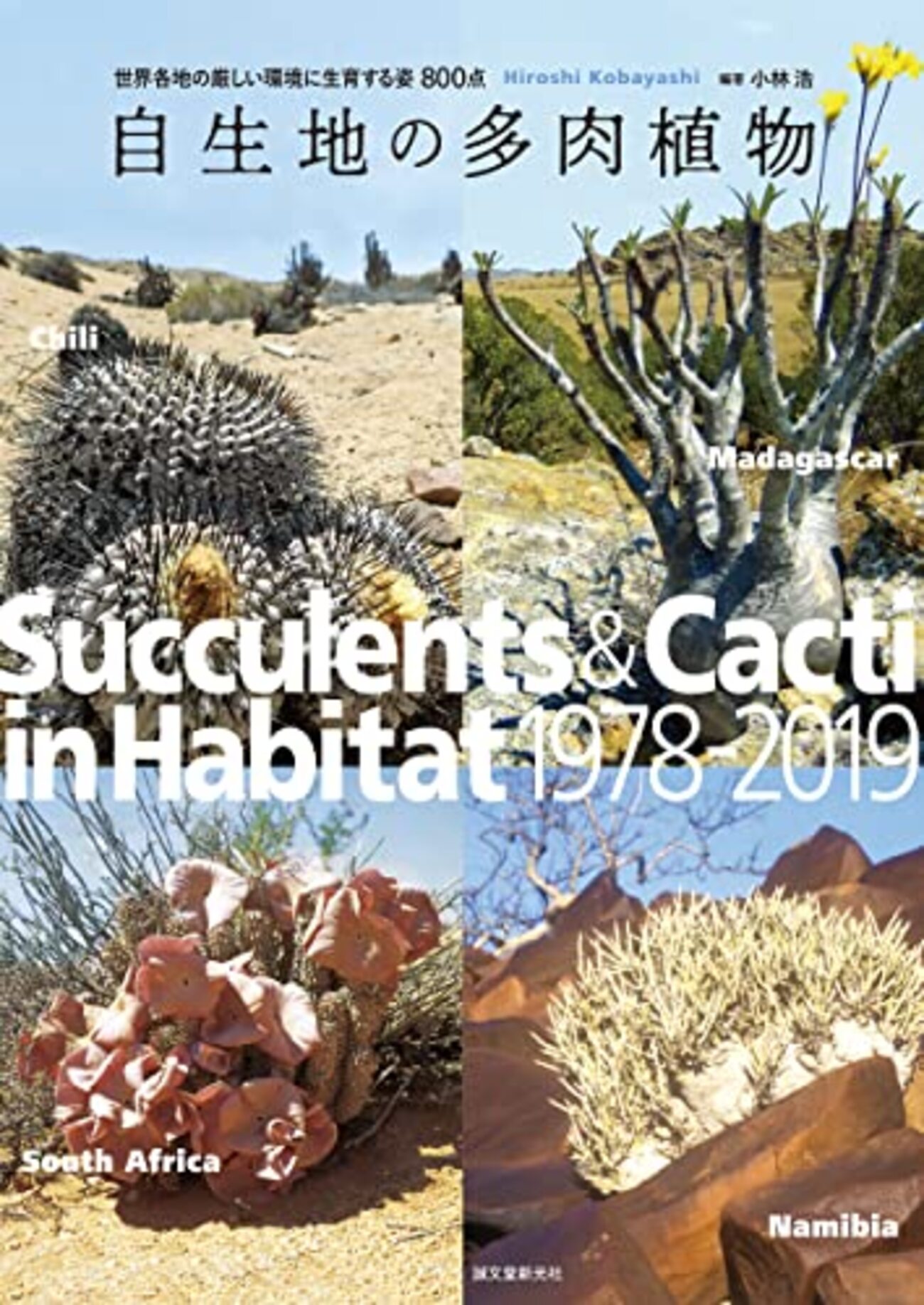 多肉植物の自生地での写真800点近くを掲載した一冊 - mojiru【もじをもじる】