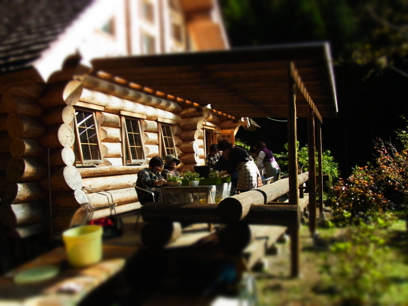 やっぱり - 花屋ふた葉 hanaya-futaba’s blog