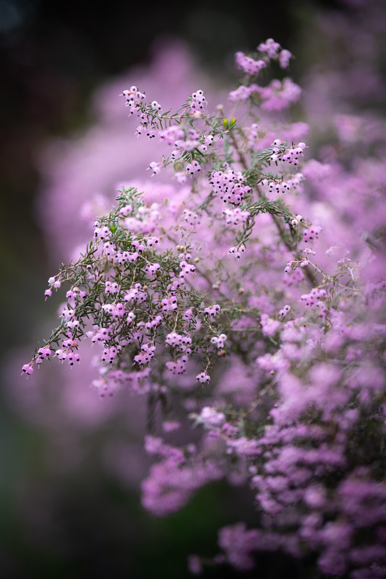 Nature snap #27 - An Ordinary Moment