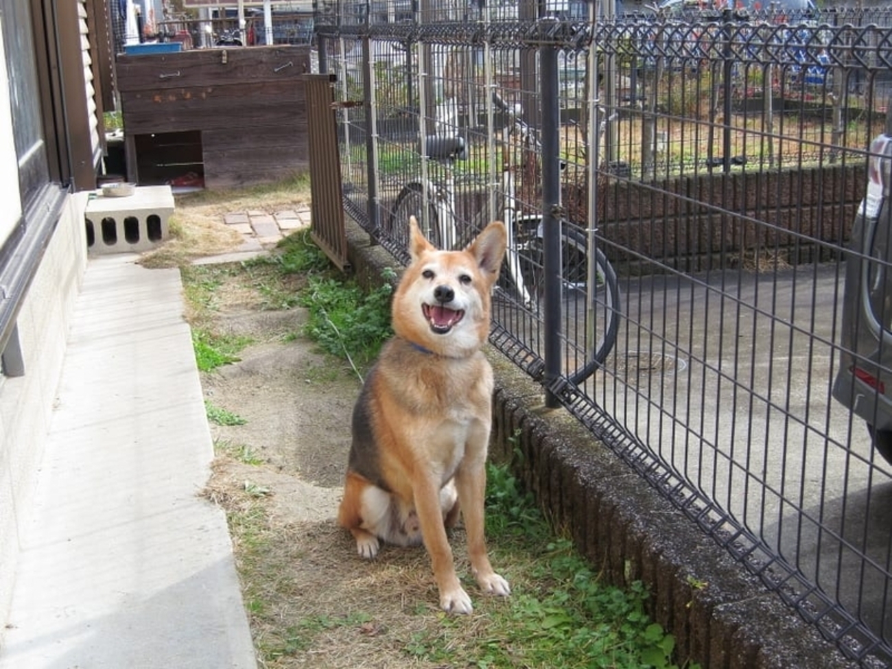 あけましておめでとうございます - 太陽と写真日記