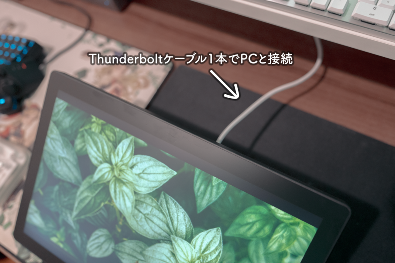 Wacom液タブをケーブル1本で繋ぎたい！Alt Mode接続をデスクトップPCで成立させる条件 - クロワッサンシカゴのねごと
