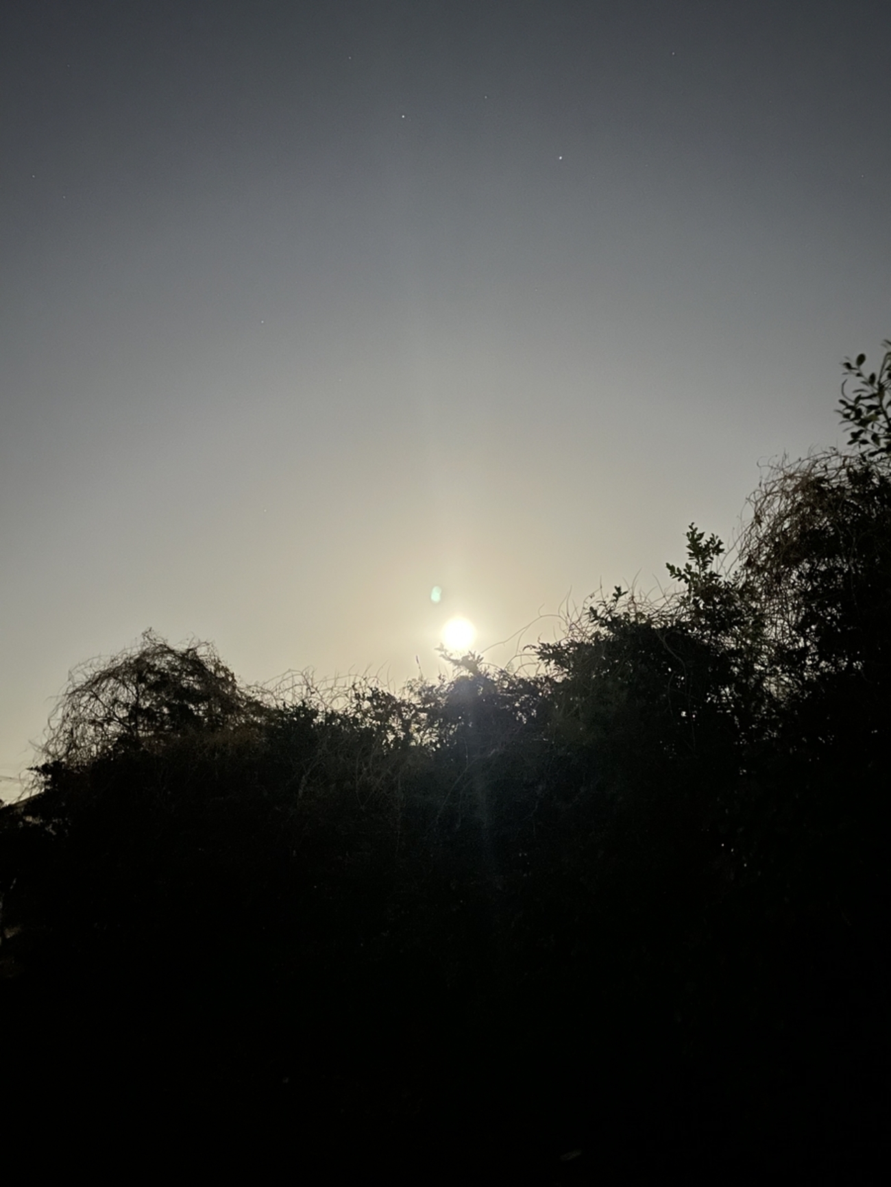 はるのきららか - chie's journal