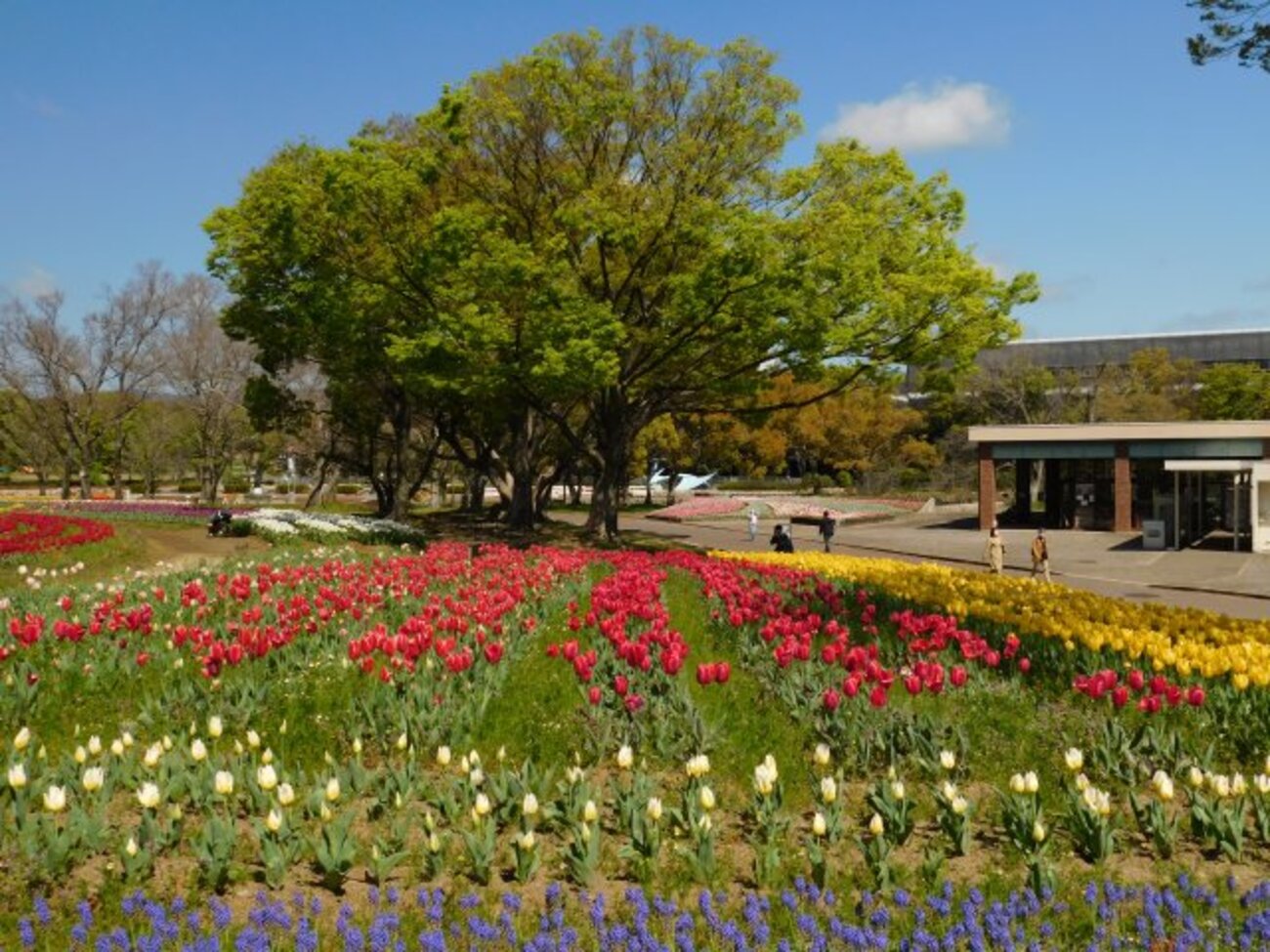 エドワード・スノーデン - oichan-2’s blog