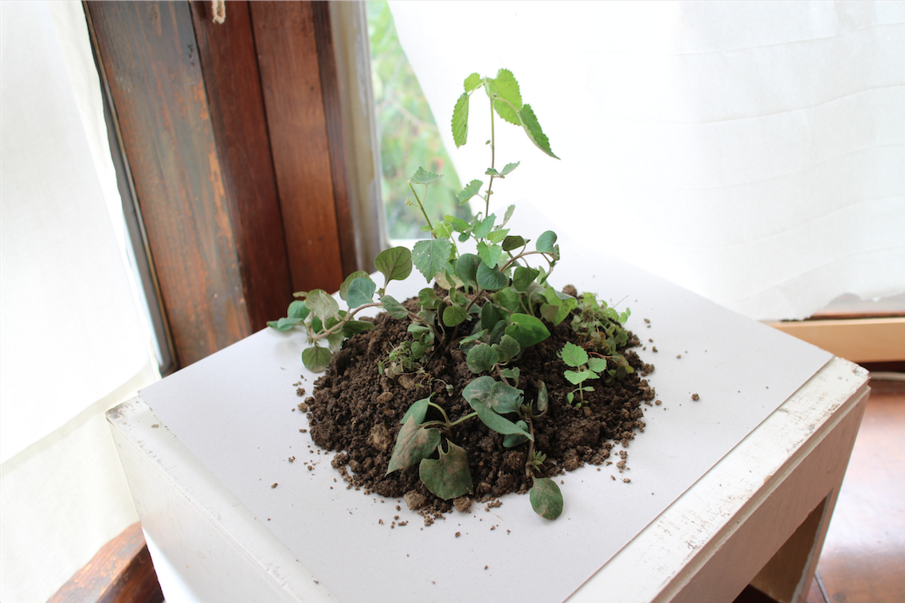 7月28日（日）ASSEMBLIES（アッセンブリーズ） - blanClass+column