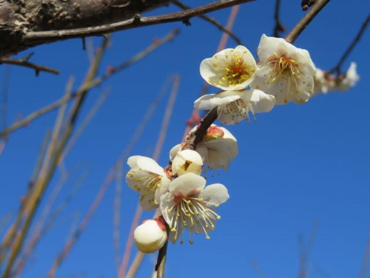 カタール戦マニアック分析 - Kobby loves 埼玉＆レッズ