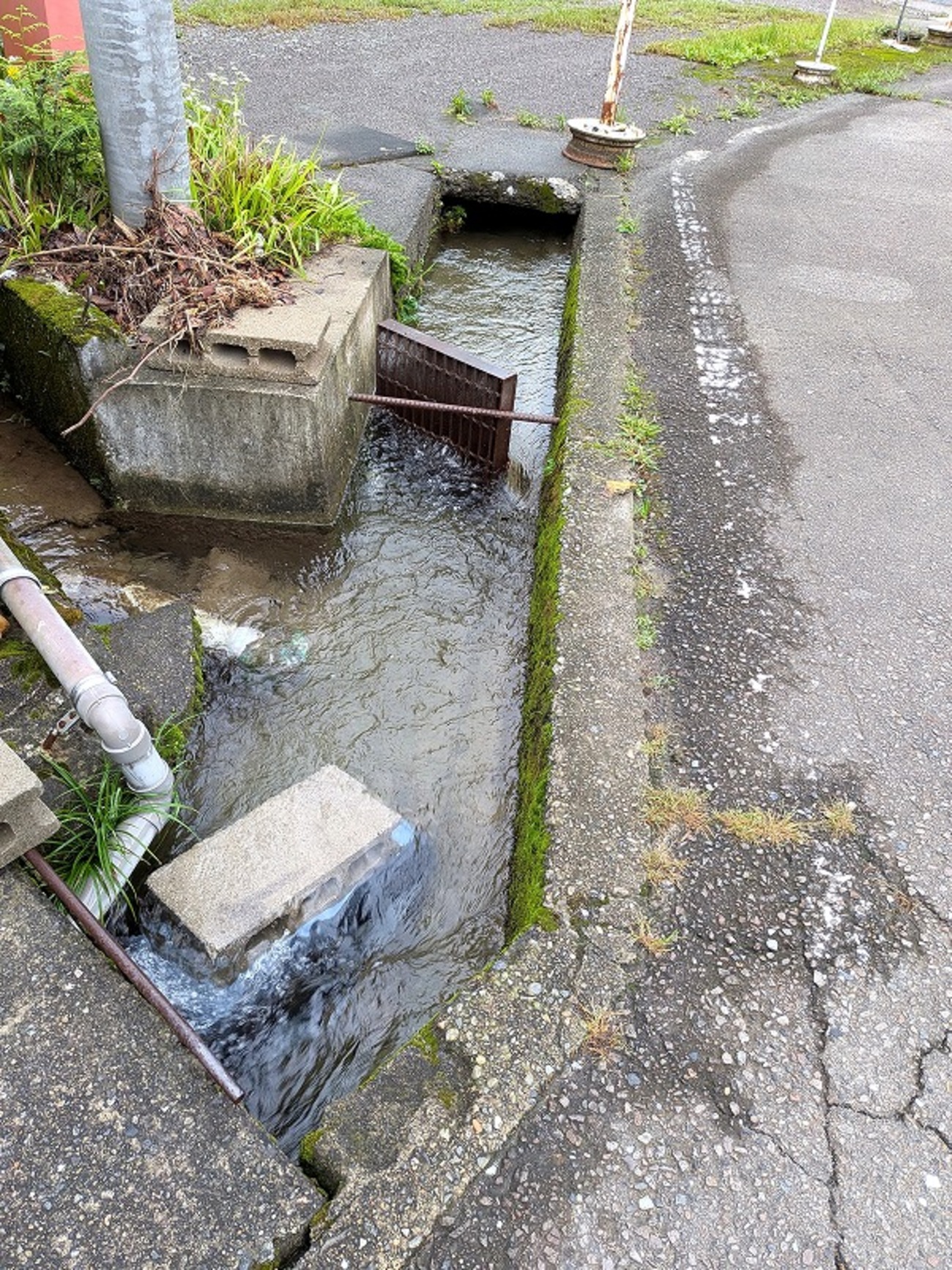 お出掛け・曇りのち雨で早帰りでした - 愛犬メロンパパの気まぐれ日記