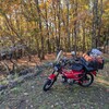 YAMAGUCHI::weblogの2024年を振り返る